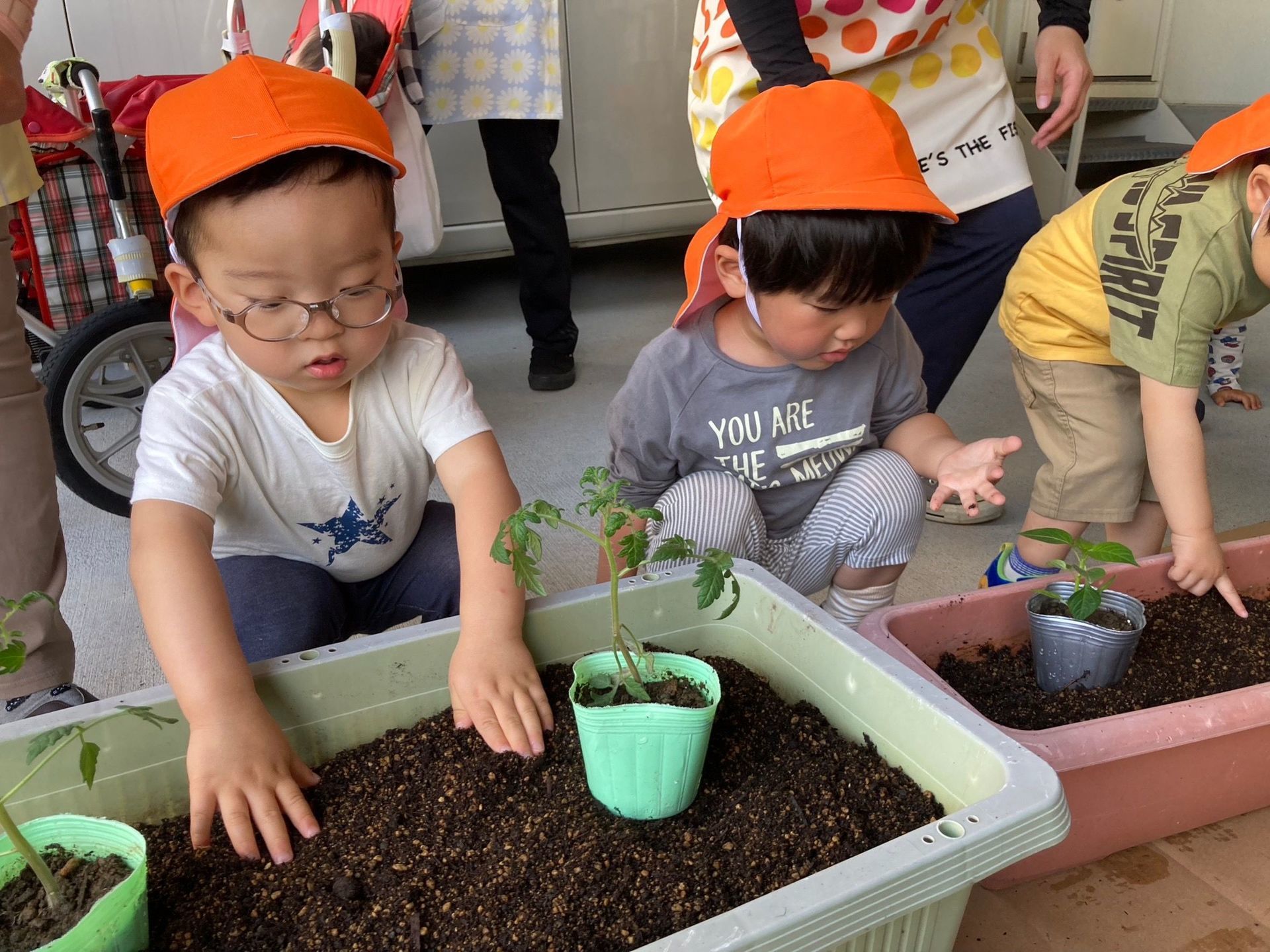 野菜の苗植えをしました～七福農園～: 七福っ子